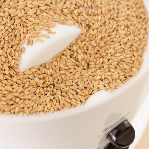 NutriMill Classic Grain Mill electric wheat grinder